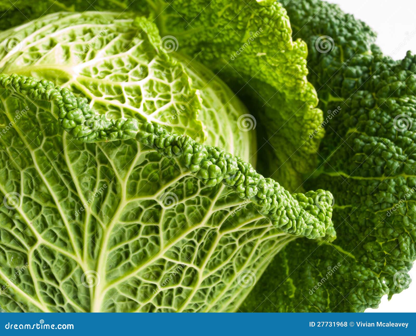 Col de col rizada foto de archivo. Imagen de deslumbrar - 27731968