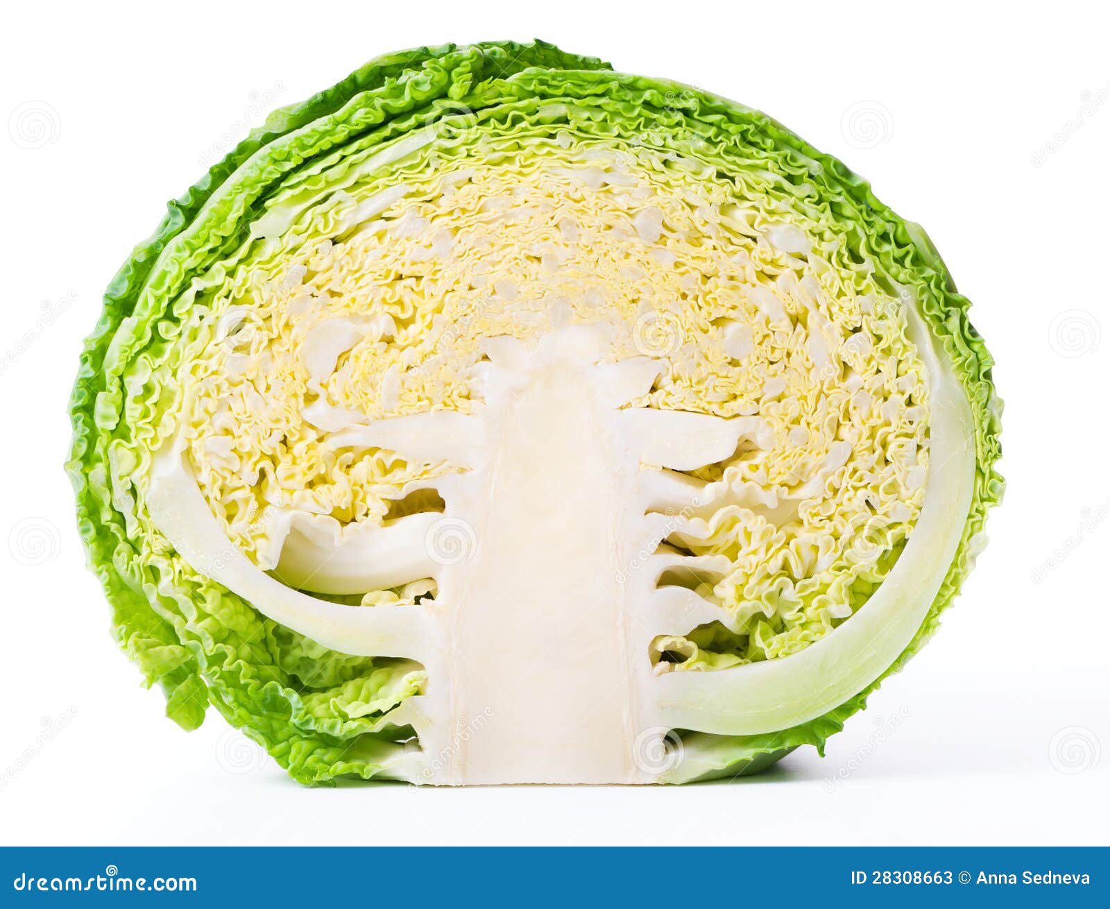 Col de col rizada imagen de archivo. Imagen de medio - 28308663