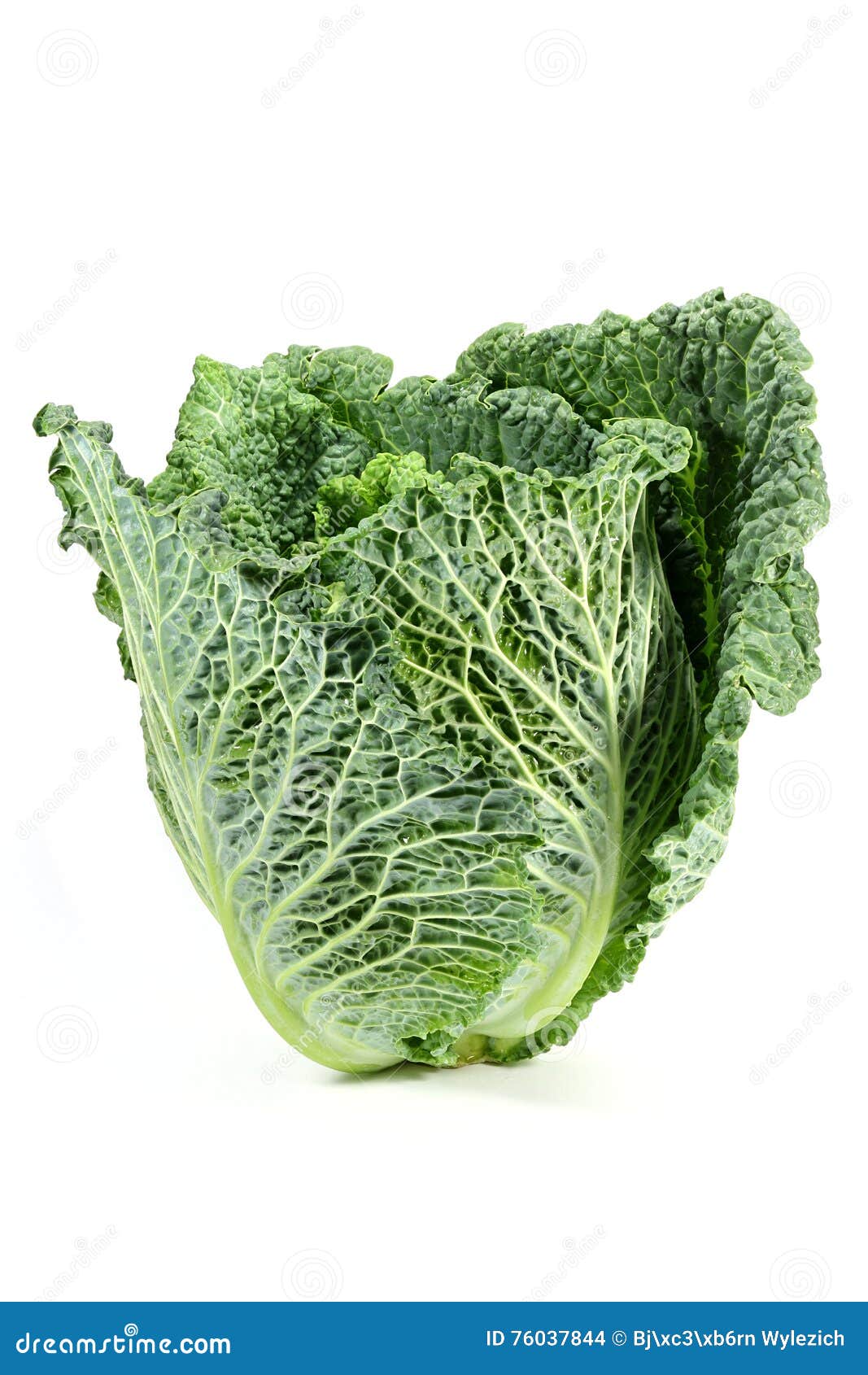 Col de col rizada foto de archivo. Imagen de dieta, agricultura - 76037844