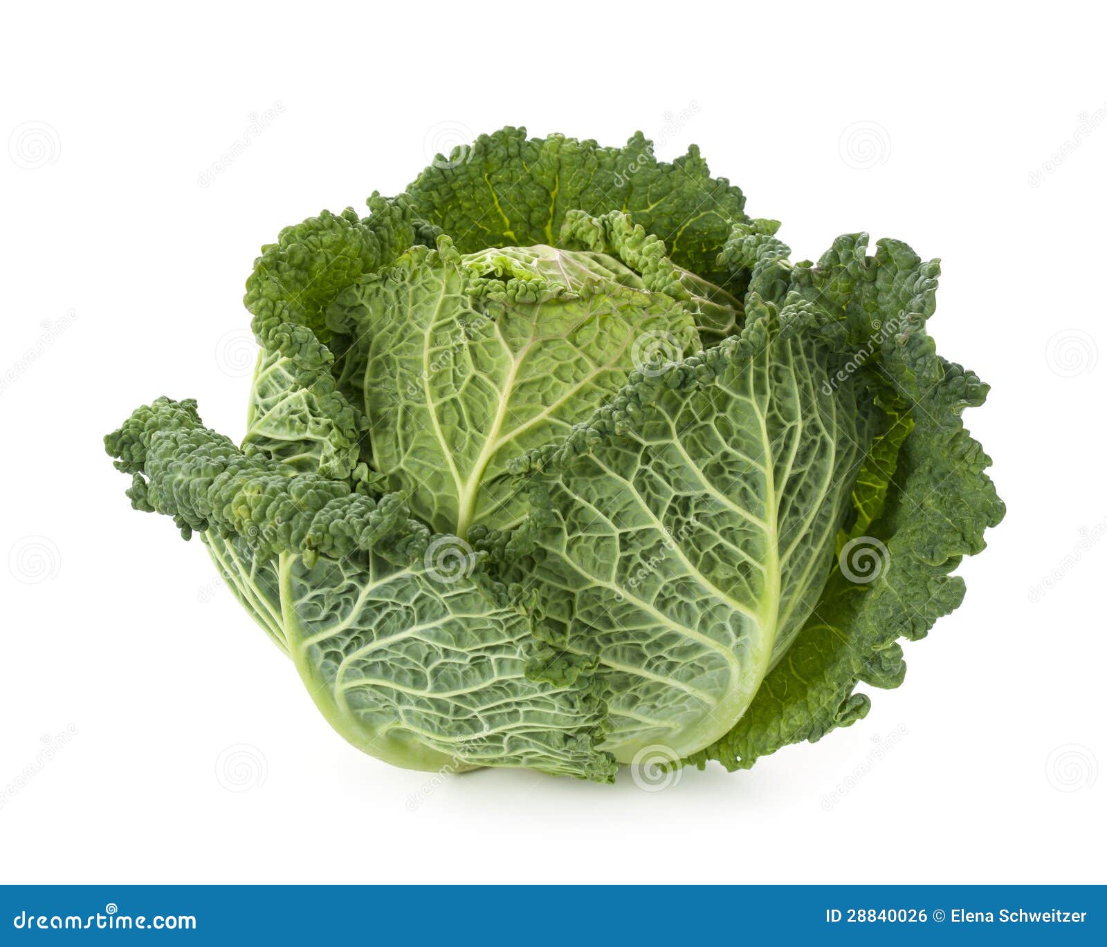 Col de col rizada fresca foto de archivo. Imagen de vegetariano - 28840026