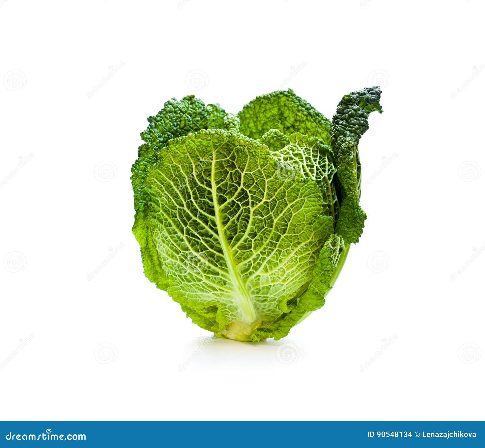 Col De Col Rizada Aislada En El Fondo Blanco Foto de archivo - Imagen ...