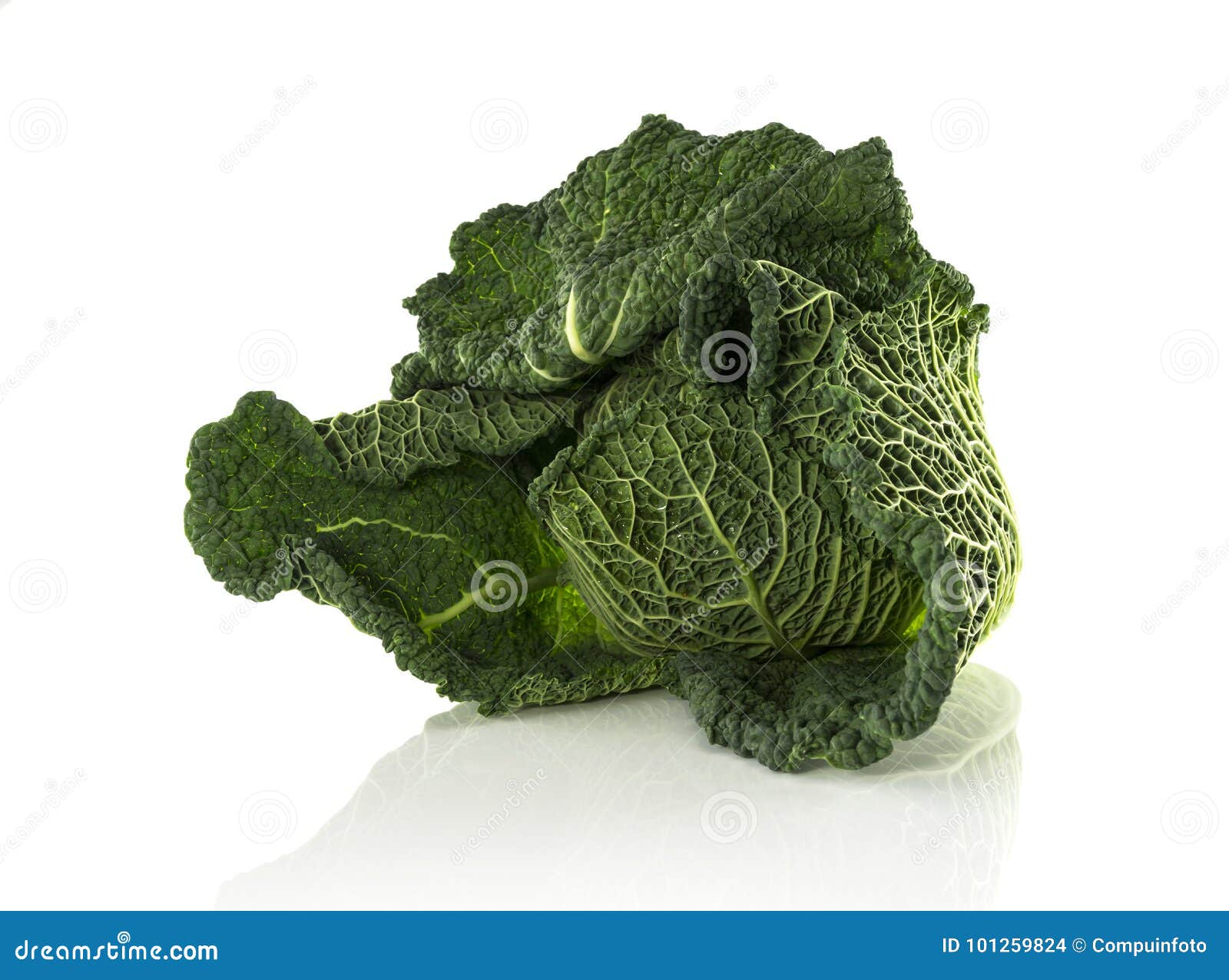 Col De Col Rizada Verde En Blanco Foto de archivo - Imagen de saborear ...