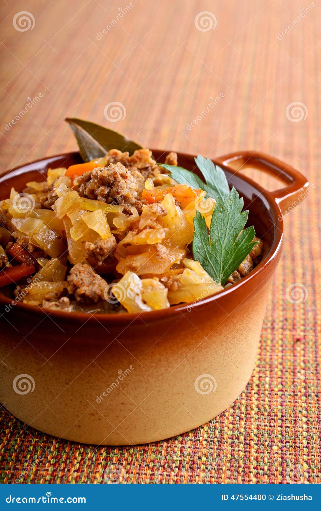 Col guisada con la carne foto de archivo. Imagen de zanahoria - 47554400