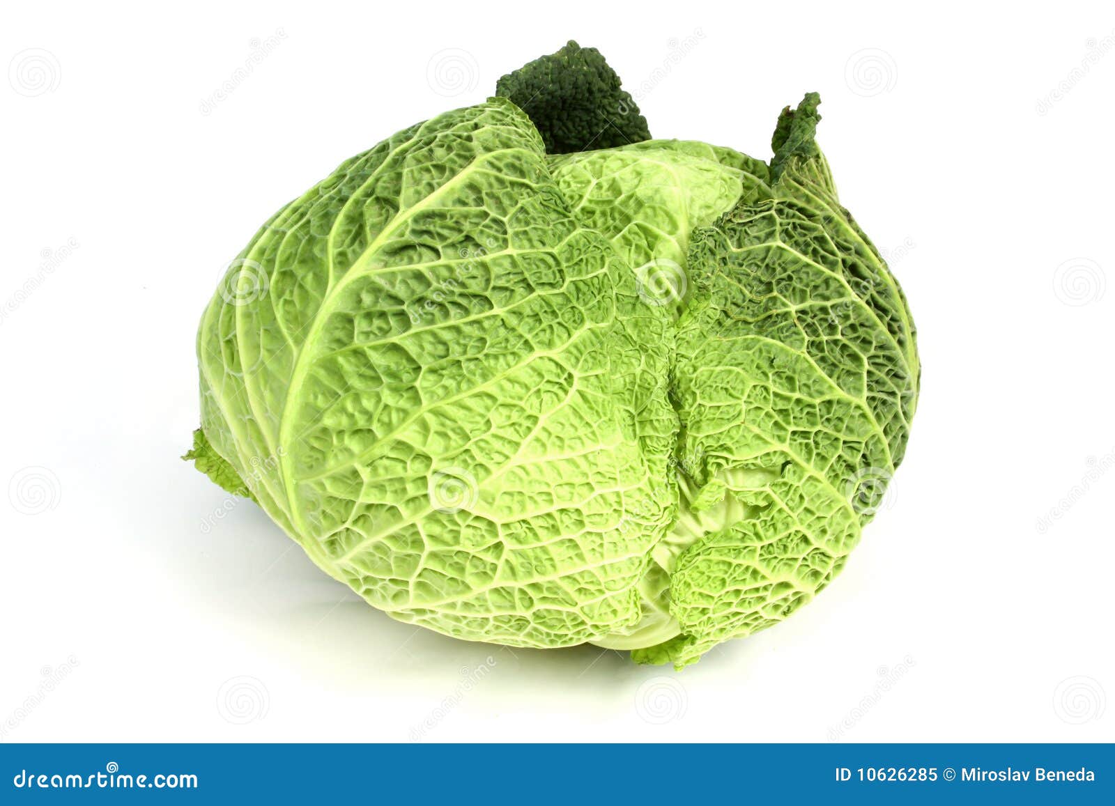 Col rizada imagen de archivo. Imagen de macro, verde - 10626285