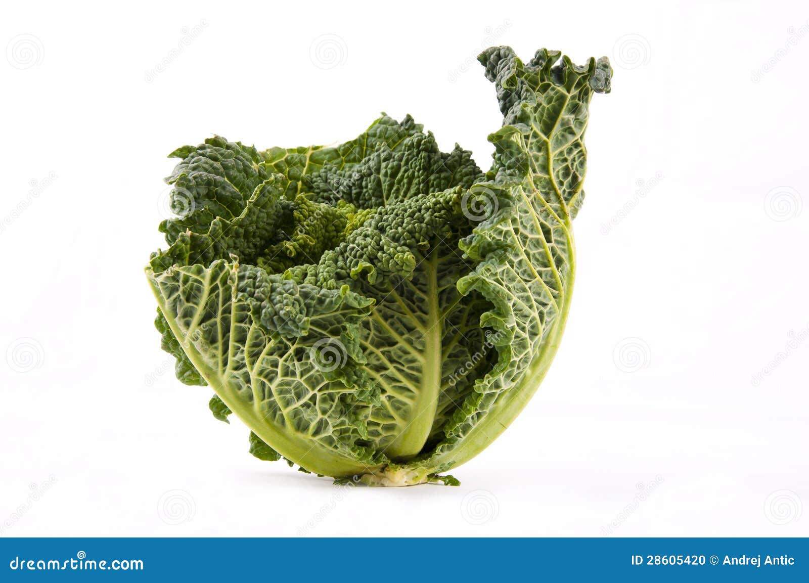 Col rizada foto de archivo. Imagen de condimento, pista - 28605420