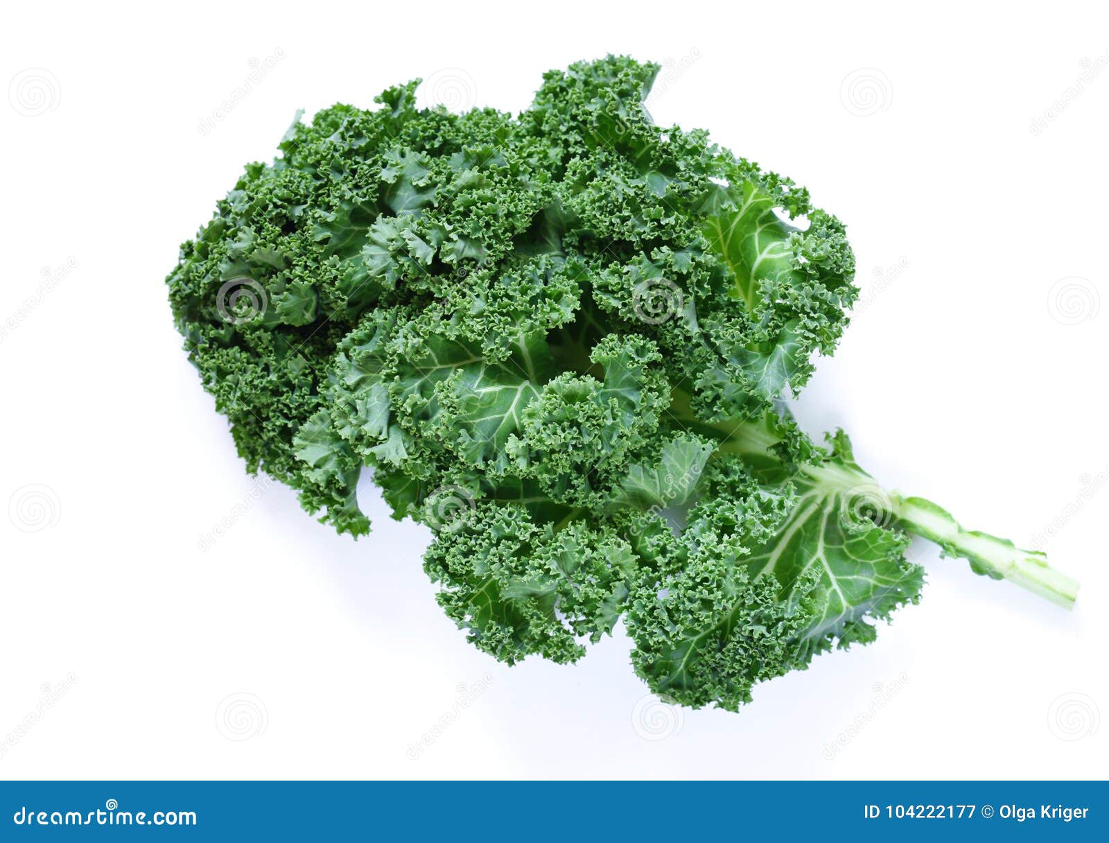 Col rizada de la col verde imagen de archivo. Imagen de rizado - 104222177