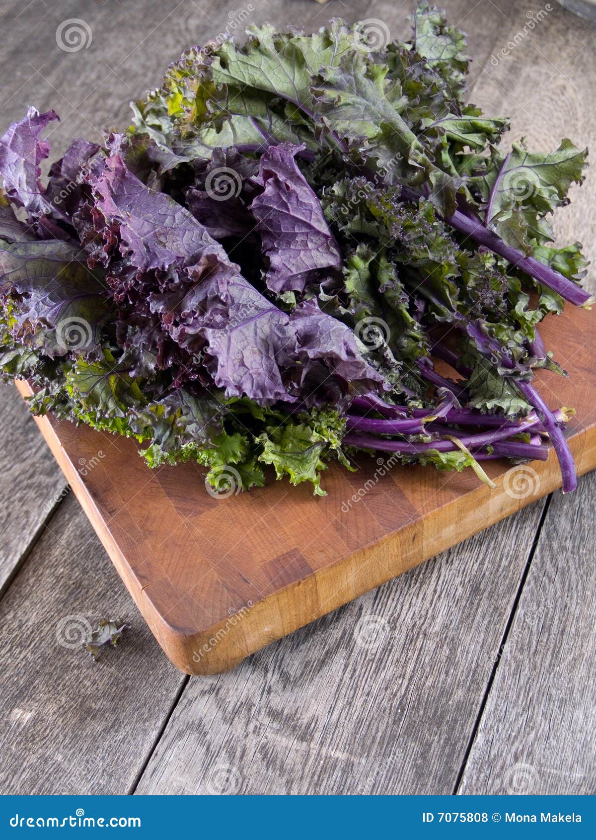 Col rizada roja foto de archivo. Imagen de rojo, tarjeta - 7075808