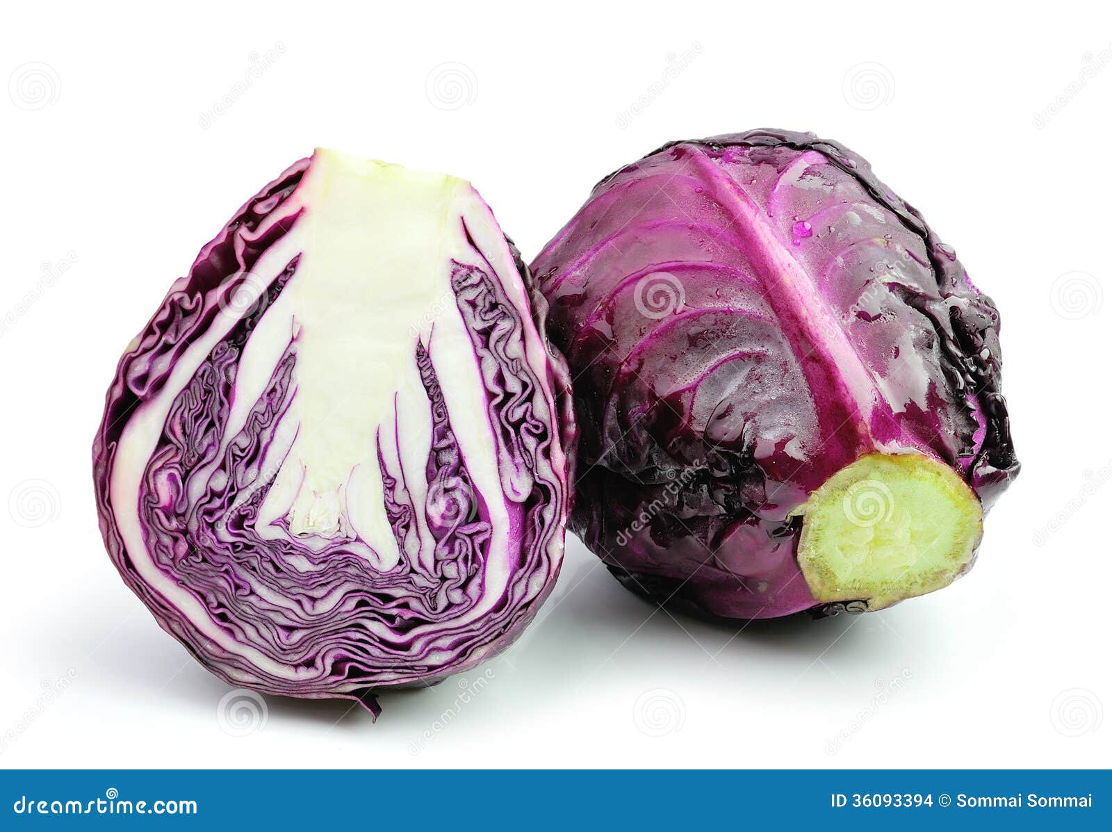 Col Roja En El Fondo Blanco Foto de archivo - Imagen de agricultura ...