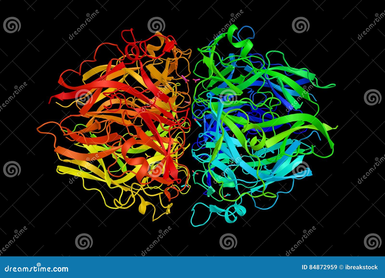 COL4A1, Un'unità Secondaria Del Tipo Collagene Di IV Illustrazione di ...