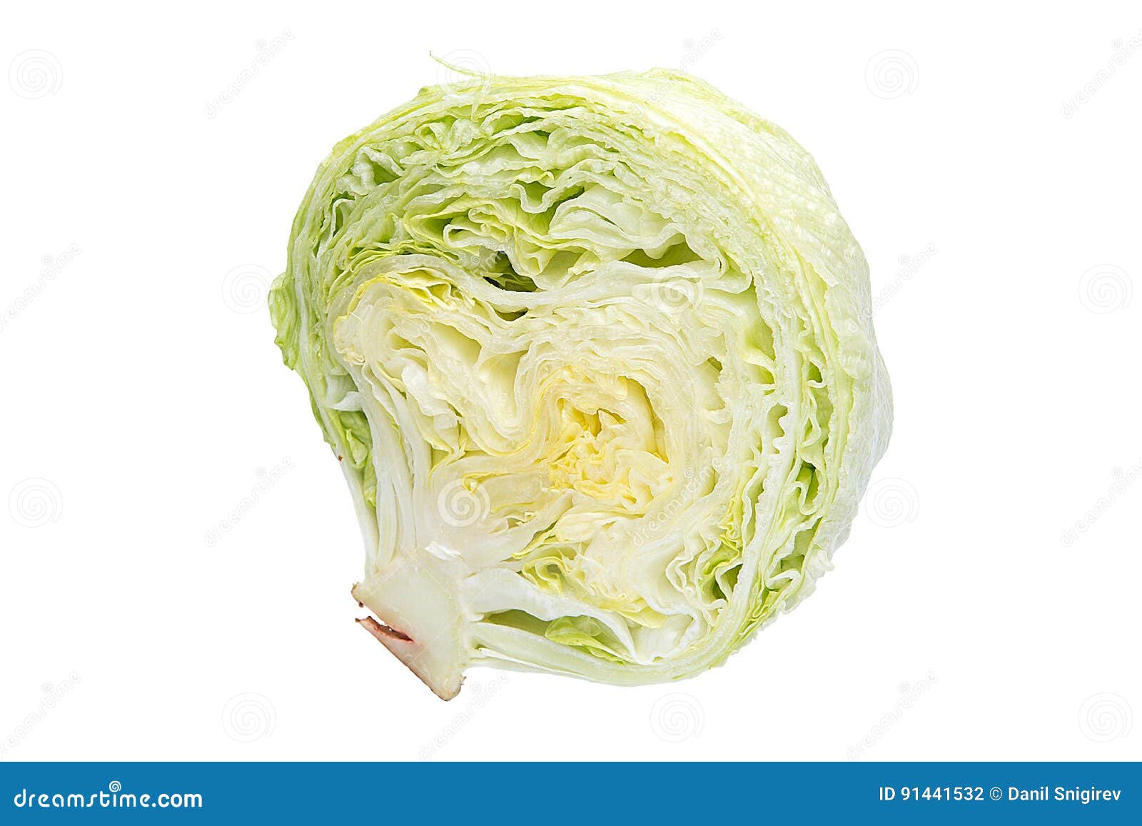 Col Verde Aislada En El Fondo Blanco Foto de archivo - Imagen de planta ...