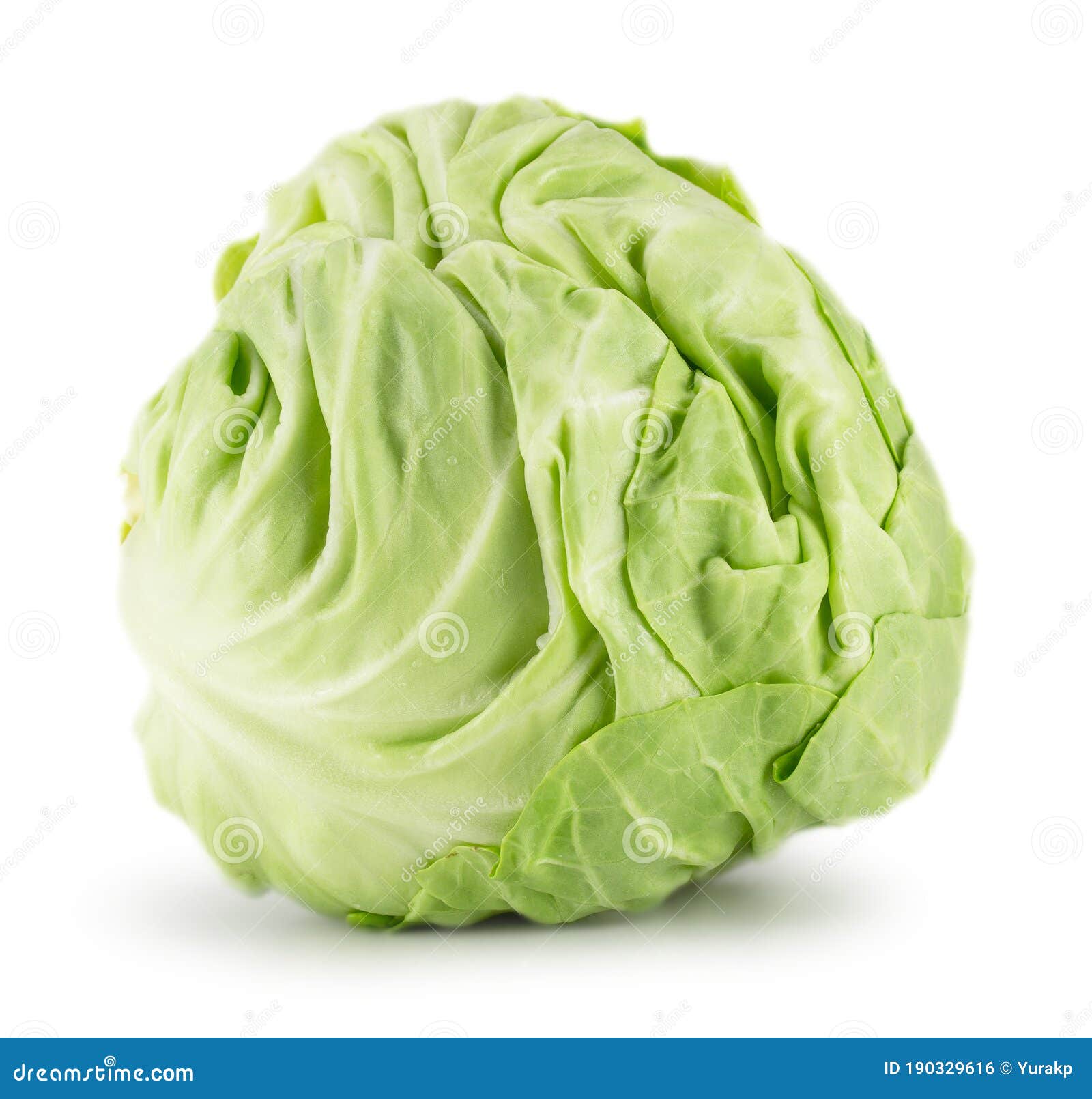 Col Verde Aislada En Un Fondo Blanco Foto de archivo - Imagen de hoja ...