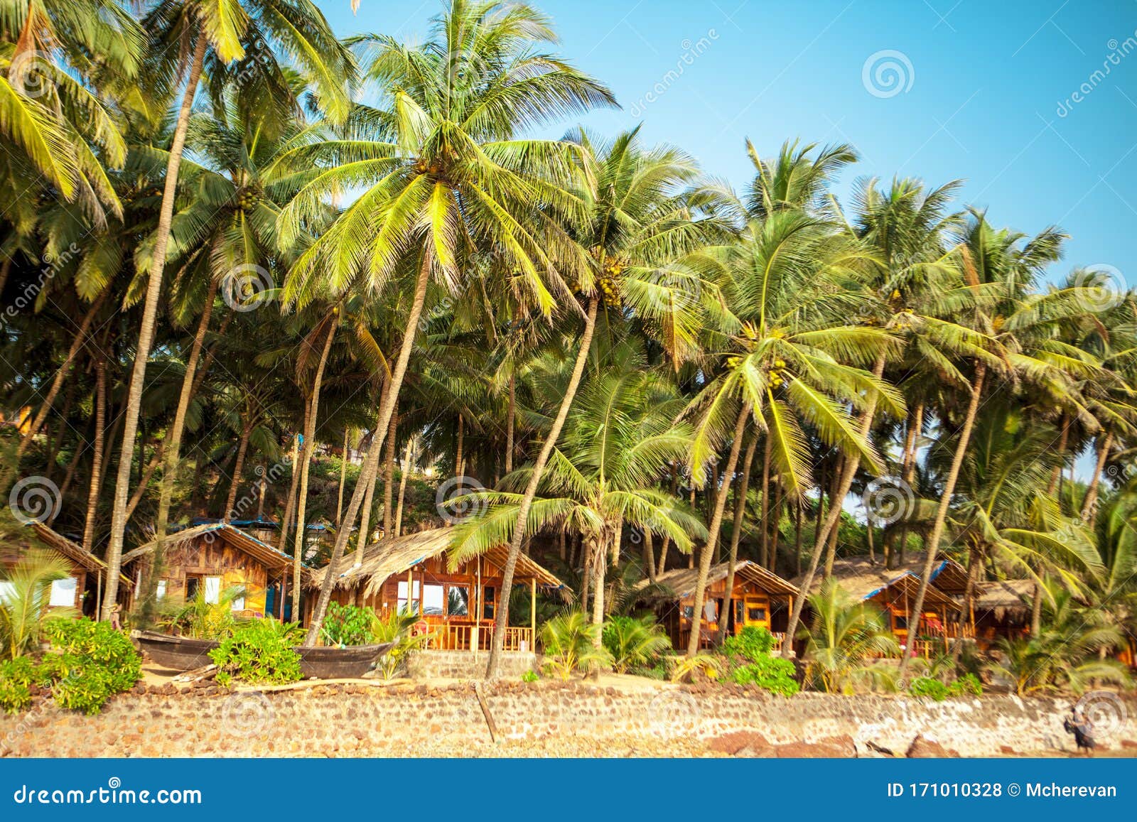 Cola Beach Goa. South Goa India, Sunny Tropical Beach Stock Photo ...