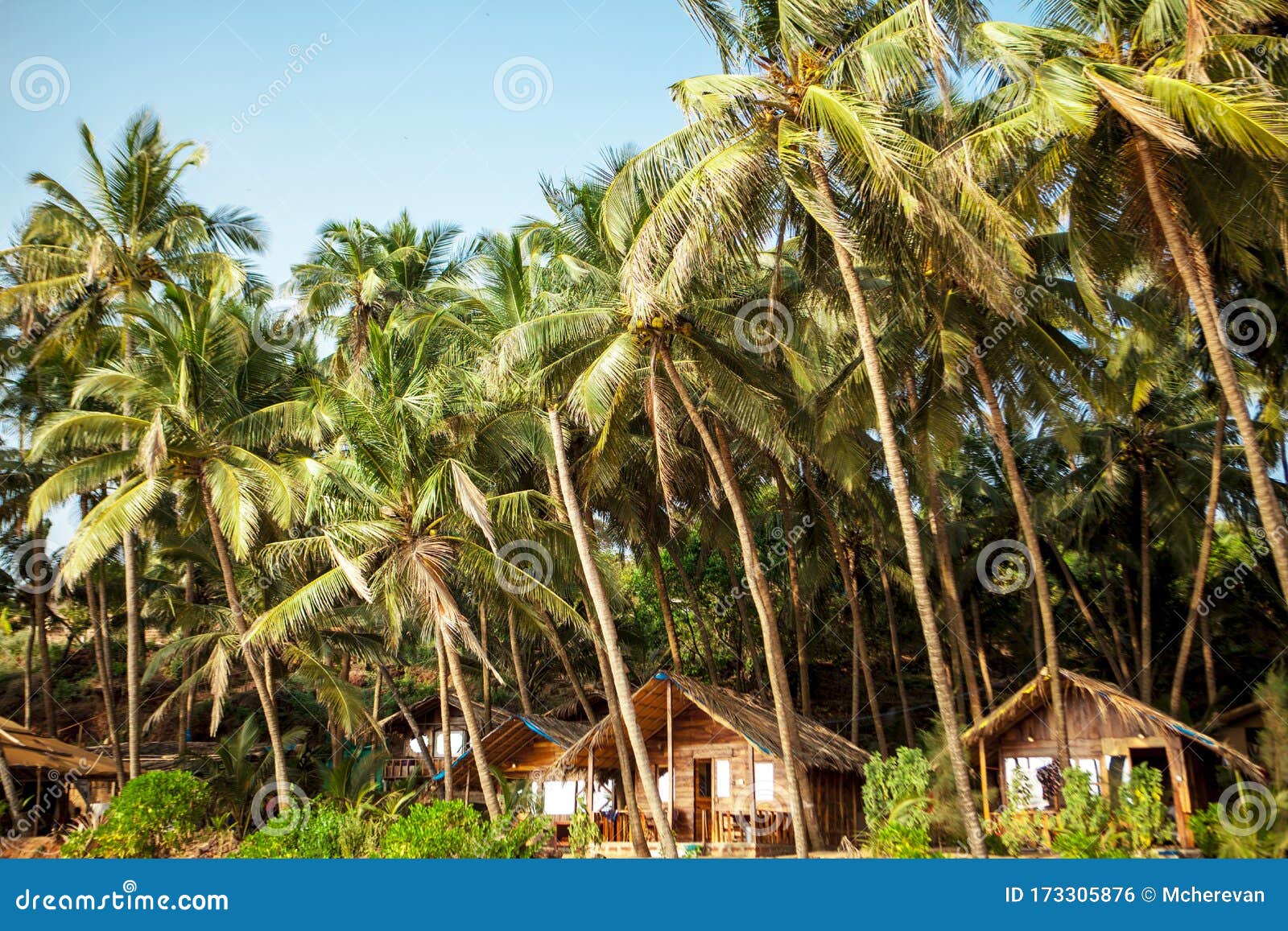 Cola Beach Goa. South Goa India, Sunny Tropical Beach Stock Photo ...