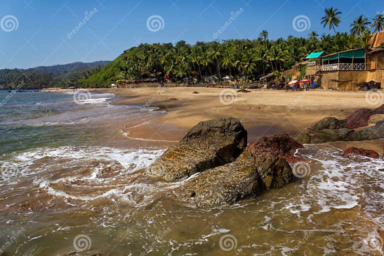 Cola Beach, South Goa, India Stock Image - Image of palm, jungle: 39565155