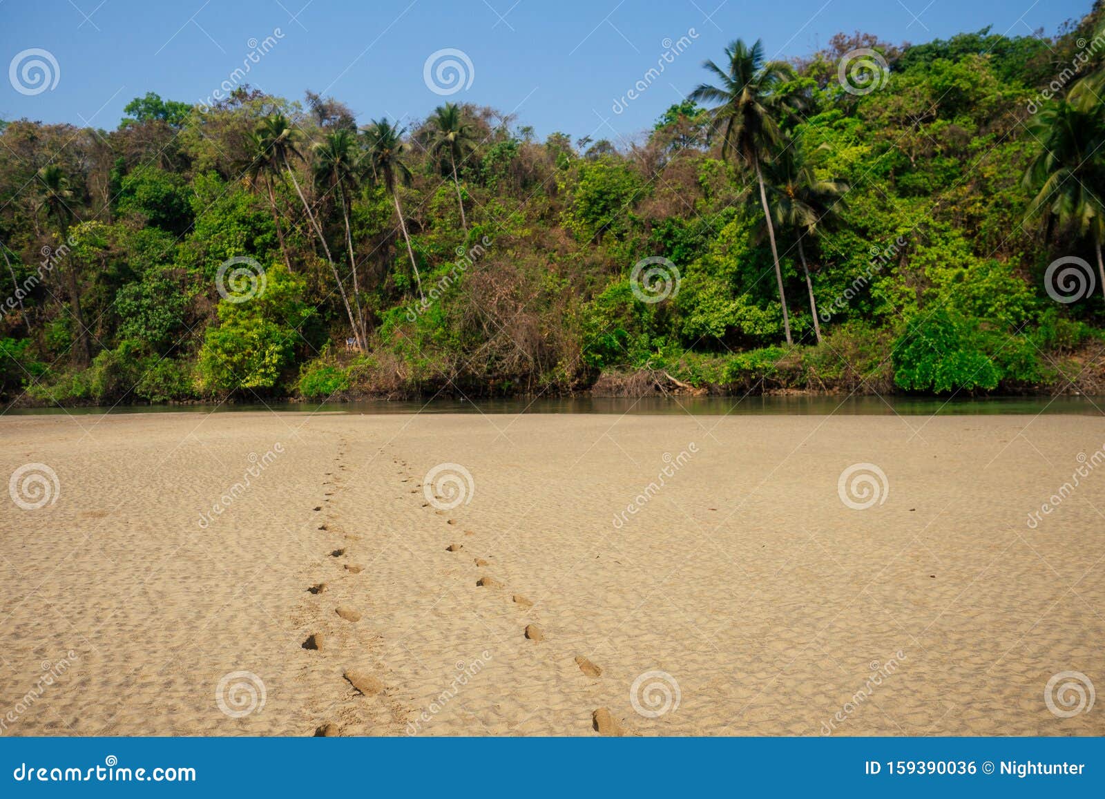 Cola Colva Beach in Paradise Goa Copyspase Stock Photo - Image of ...