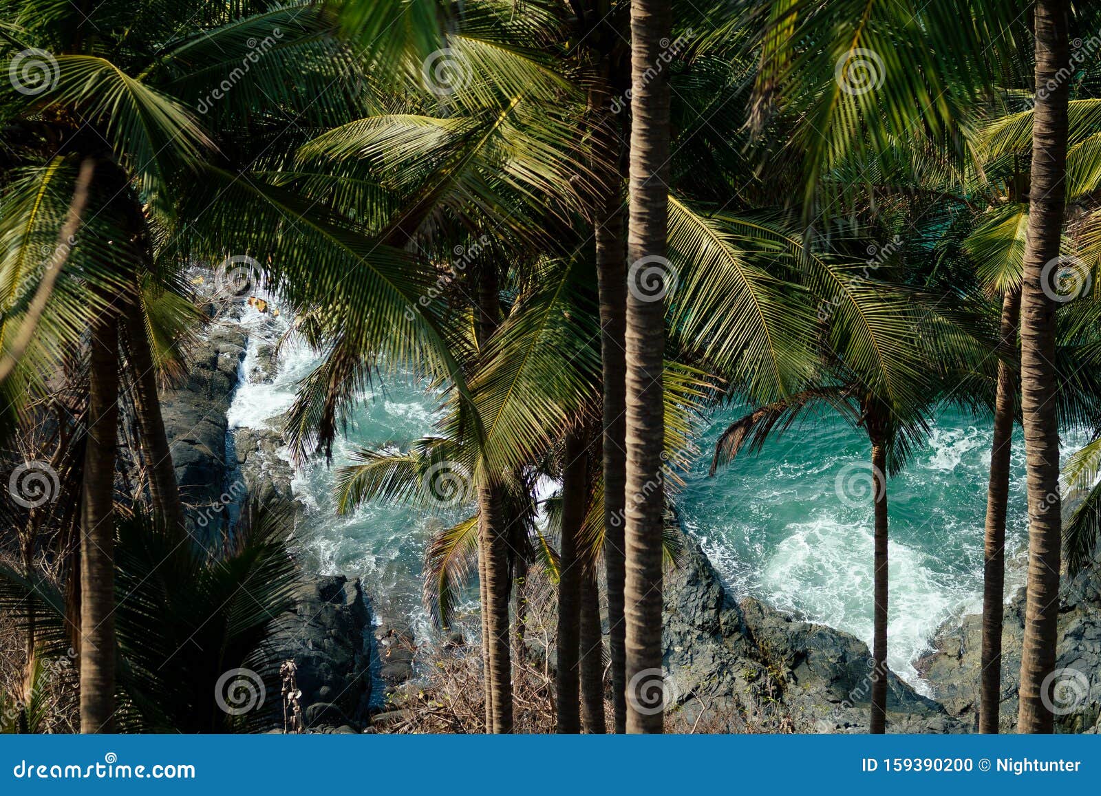 Cola Colva Beach in Paradise Goa Copyspase Stock Photo - Image of ...
