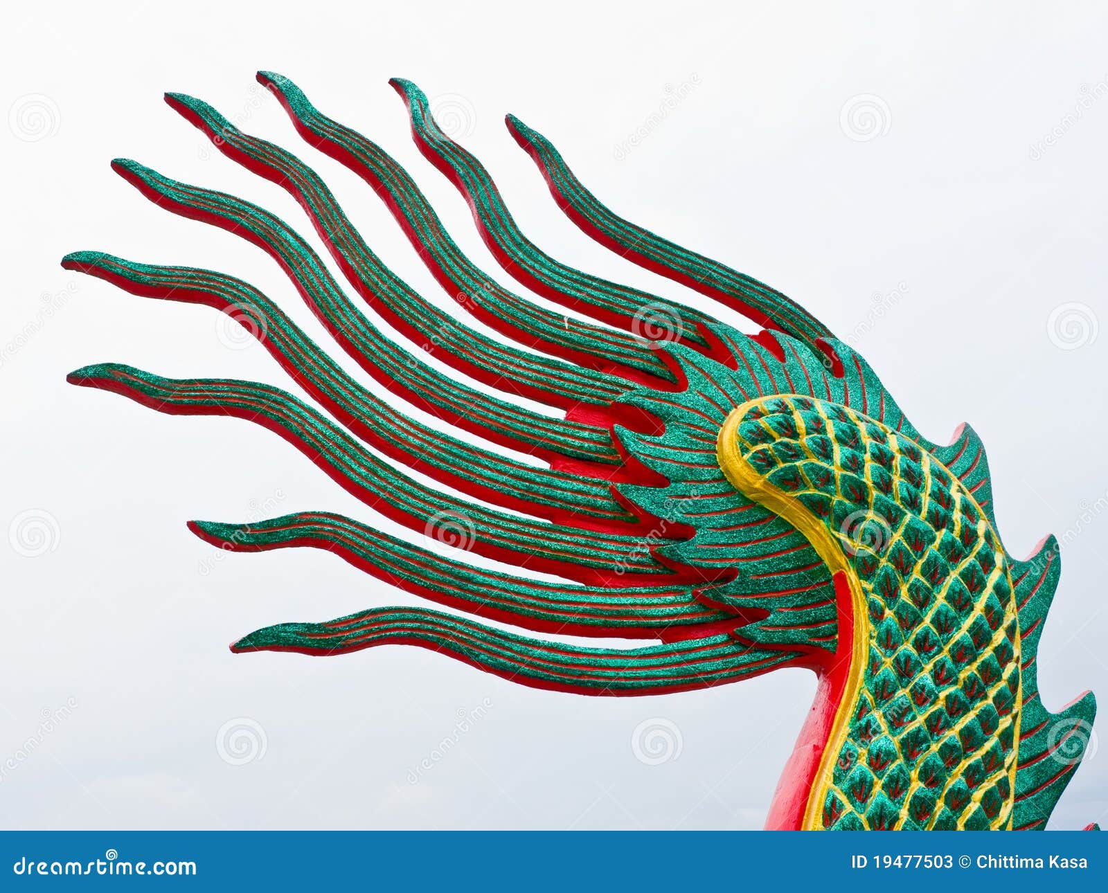 Cola Del Dragón Fotos de archivo - Imagen: 19477503