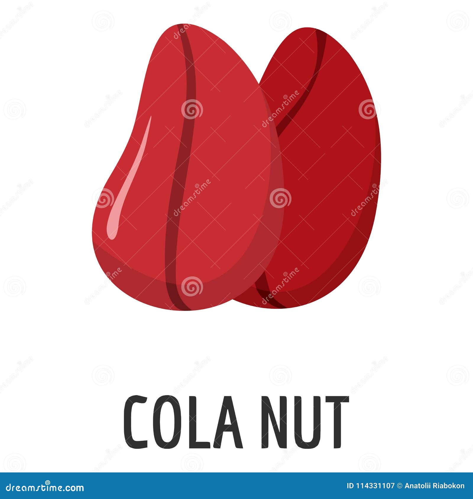 Cola nut icon, flat style stock vector. Illustration of health - 114331107
