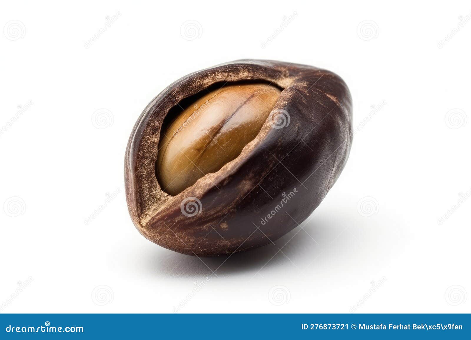 Cola Nut Isolated on White Background. Generative AI Stock Illustration ...