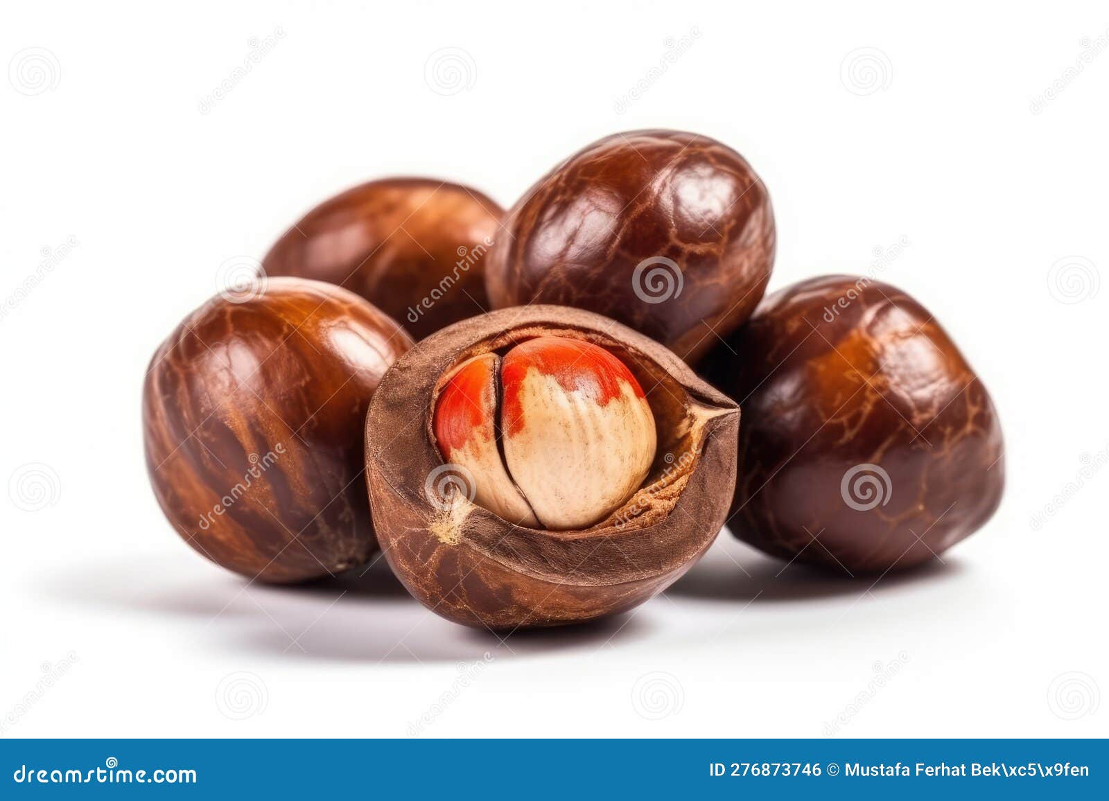 Cola Nut Isolated on White Background. Generative AI Stock Illustration ...