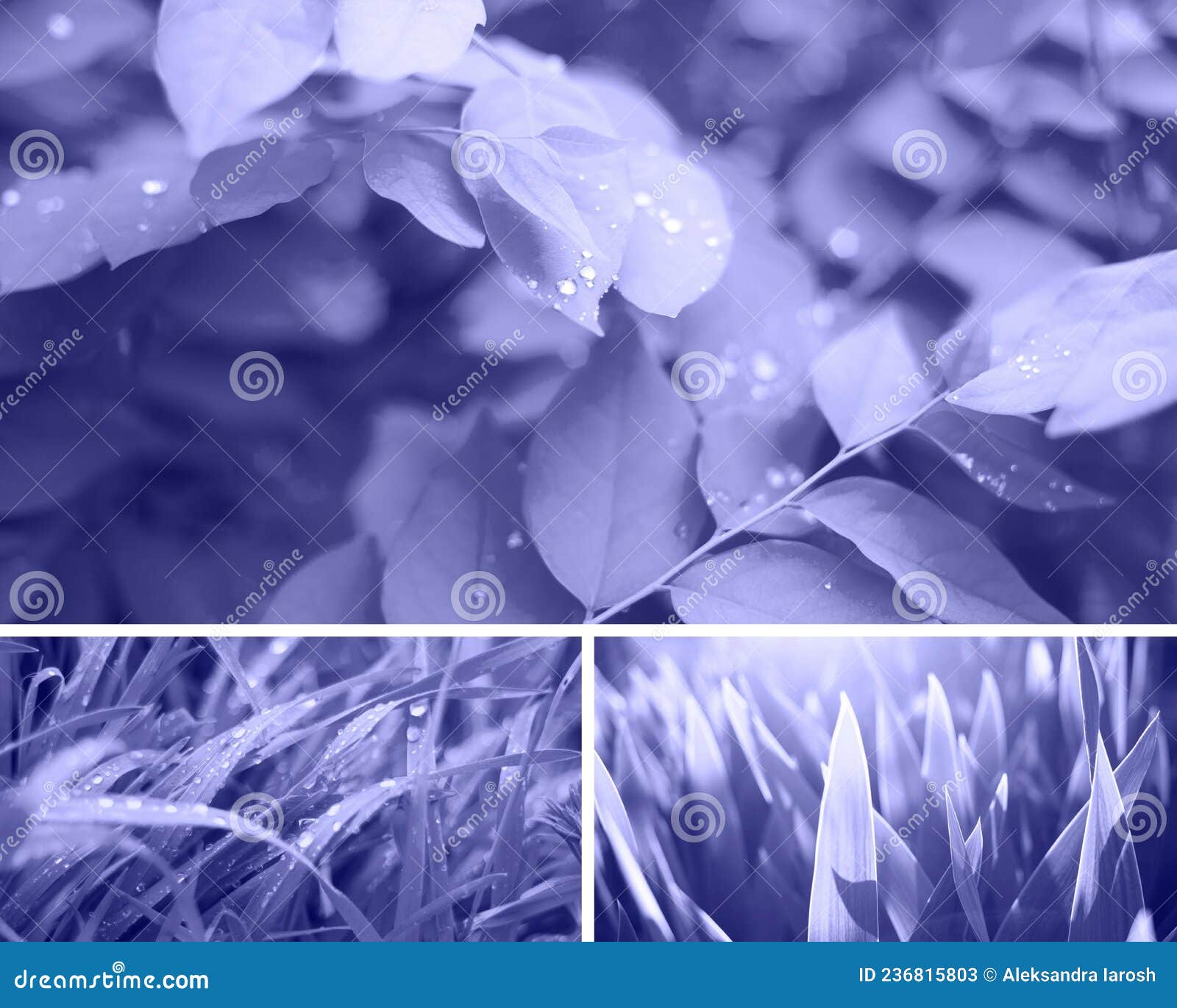 Colagem Na Cor Do Ano De 2022. Fundo E Texturas Para Design Imagem de ...