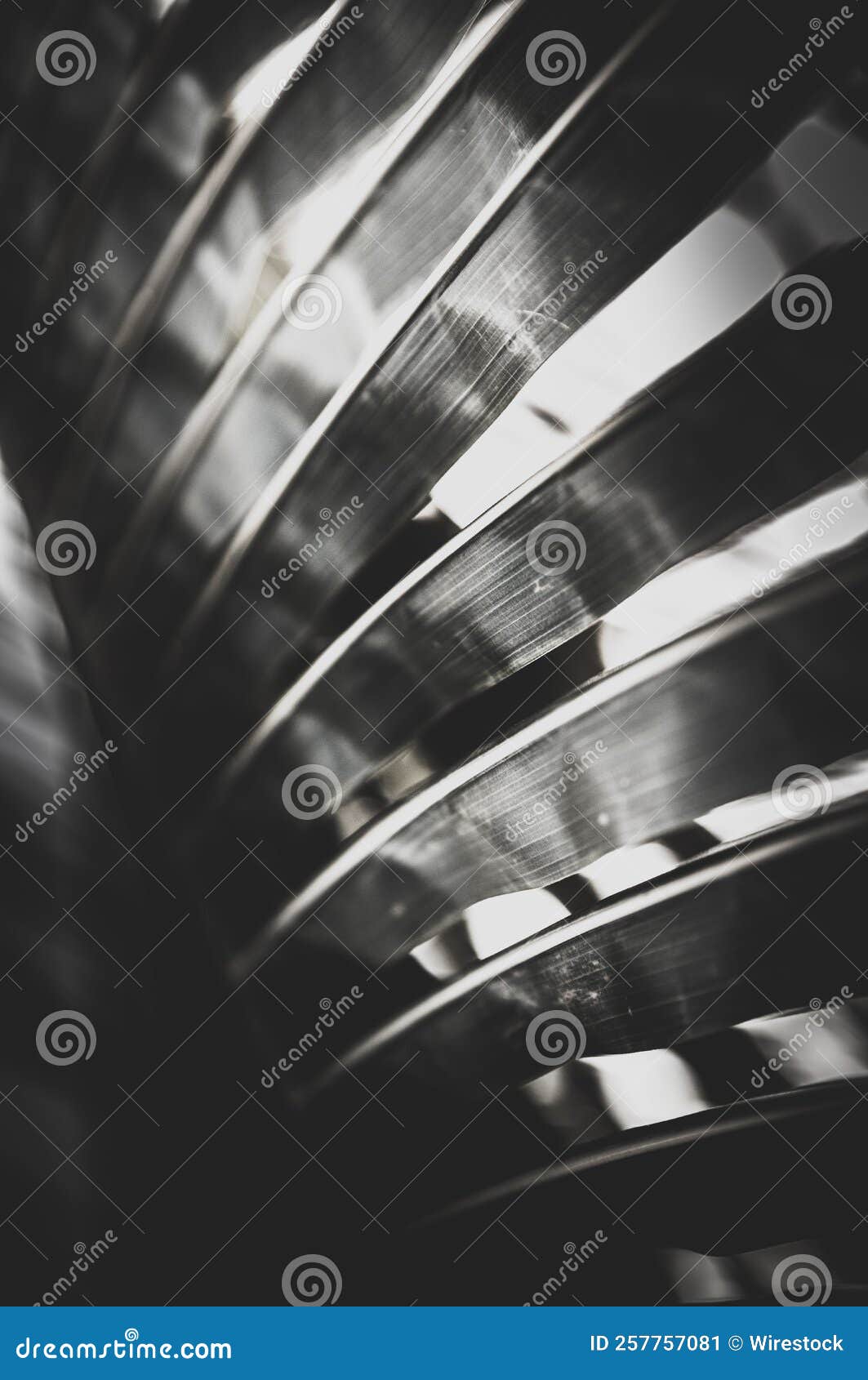 Colagem Vertical Em Tons De Cinza Com Luz Refletindo Em Uma Bela Planta ...