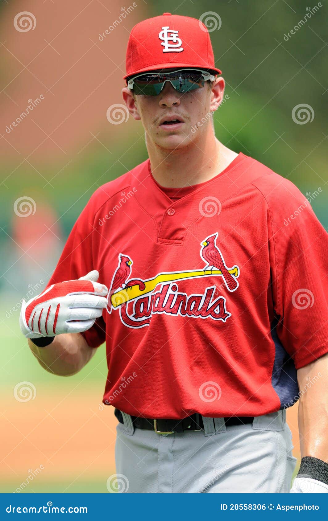 Colby Rasmus - St. Louis Cardinals Editorial Photo - Image of uniform ...