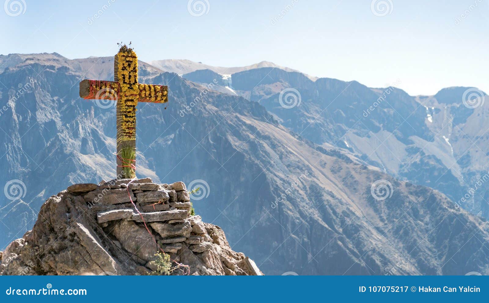 Colca Canyon, Peru. Condor Cross Closeup Editorial Photography - Image ...