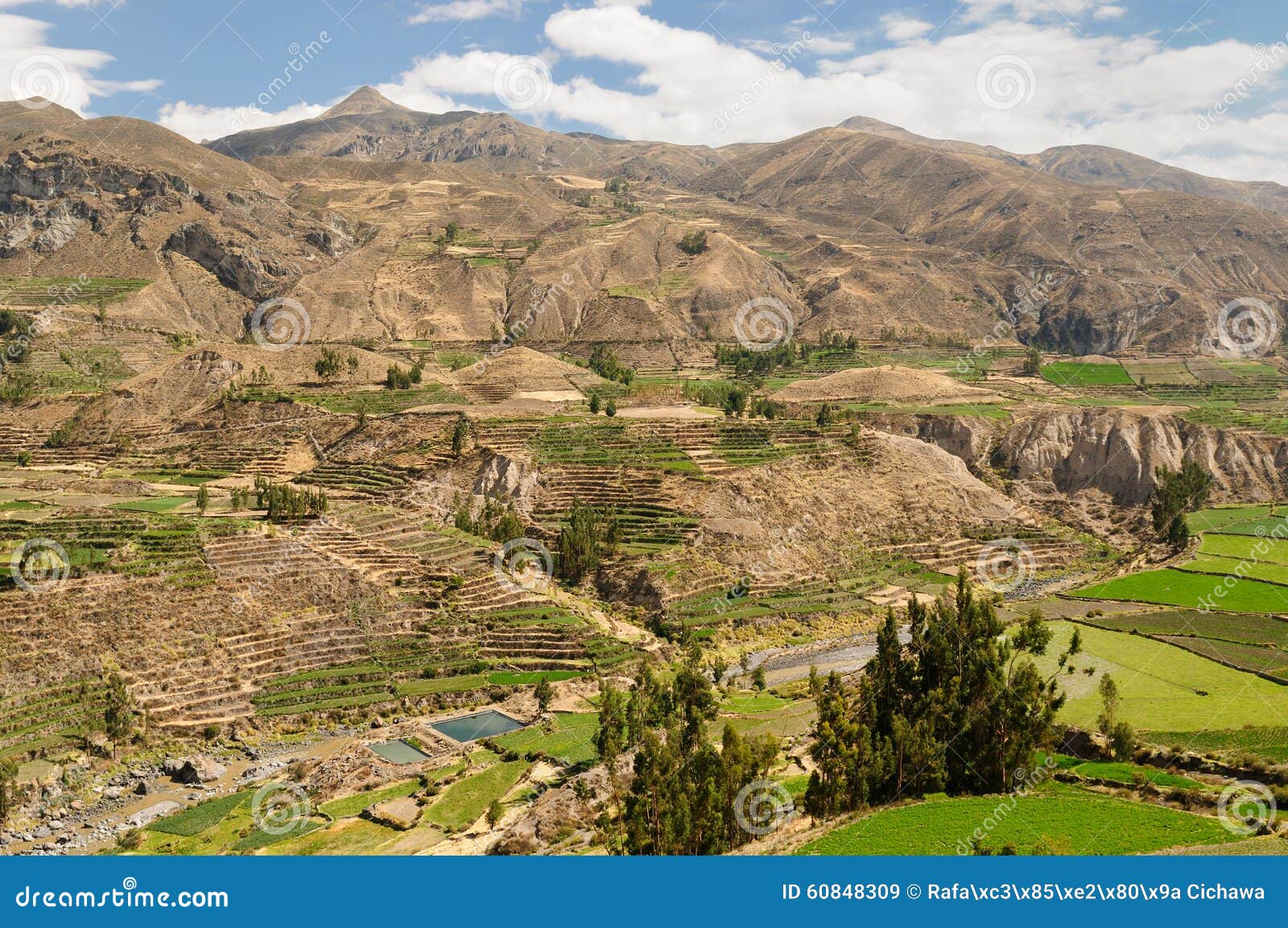 Colca Canyon, Peru,South America The Incas To Build Farming Terraces ...
