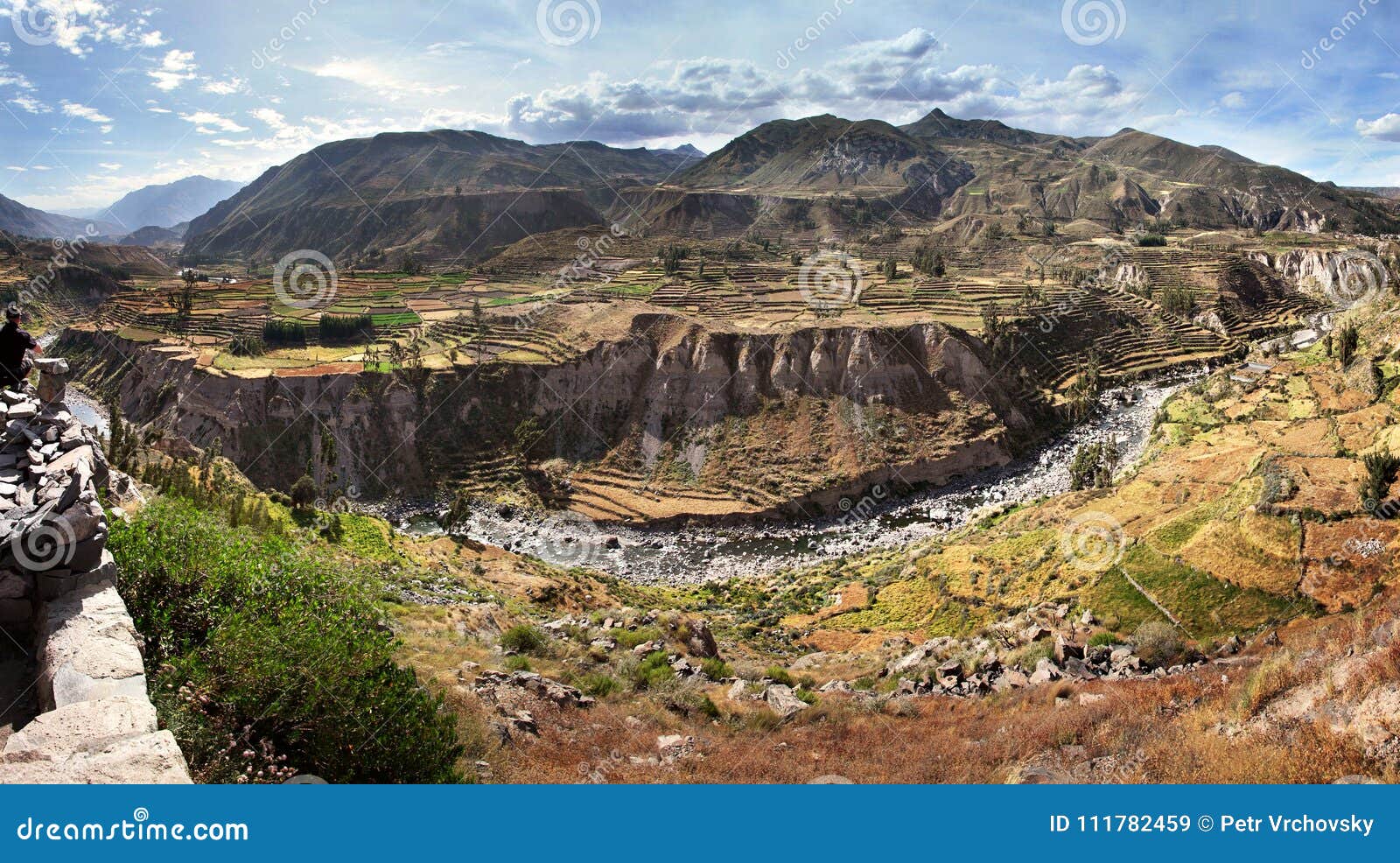The Colca Canyon in Peru - View of Terraced Fields and Colca River ...