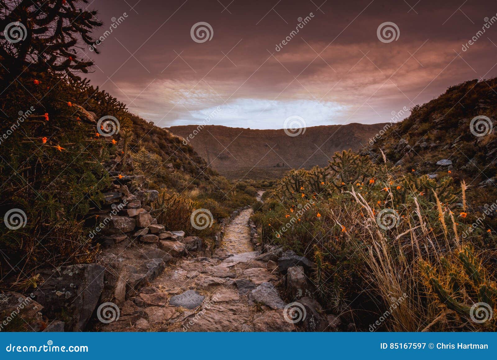 Colca Canyon and the View of the Andes Stock Image - Image of andes ...