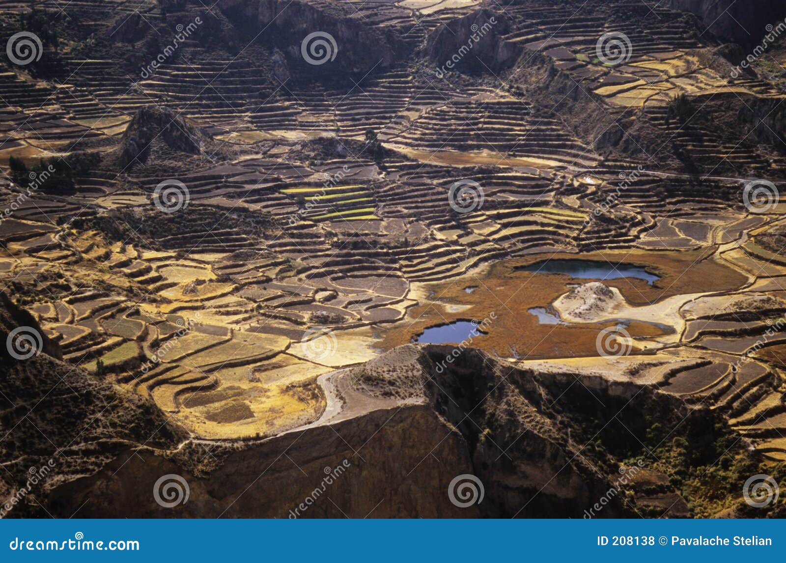 Colca Valey - Inca Terrace - Condors Home #2 Stock Photo - Image of ...