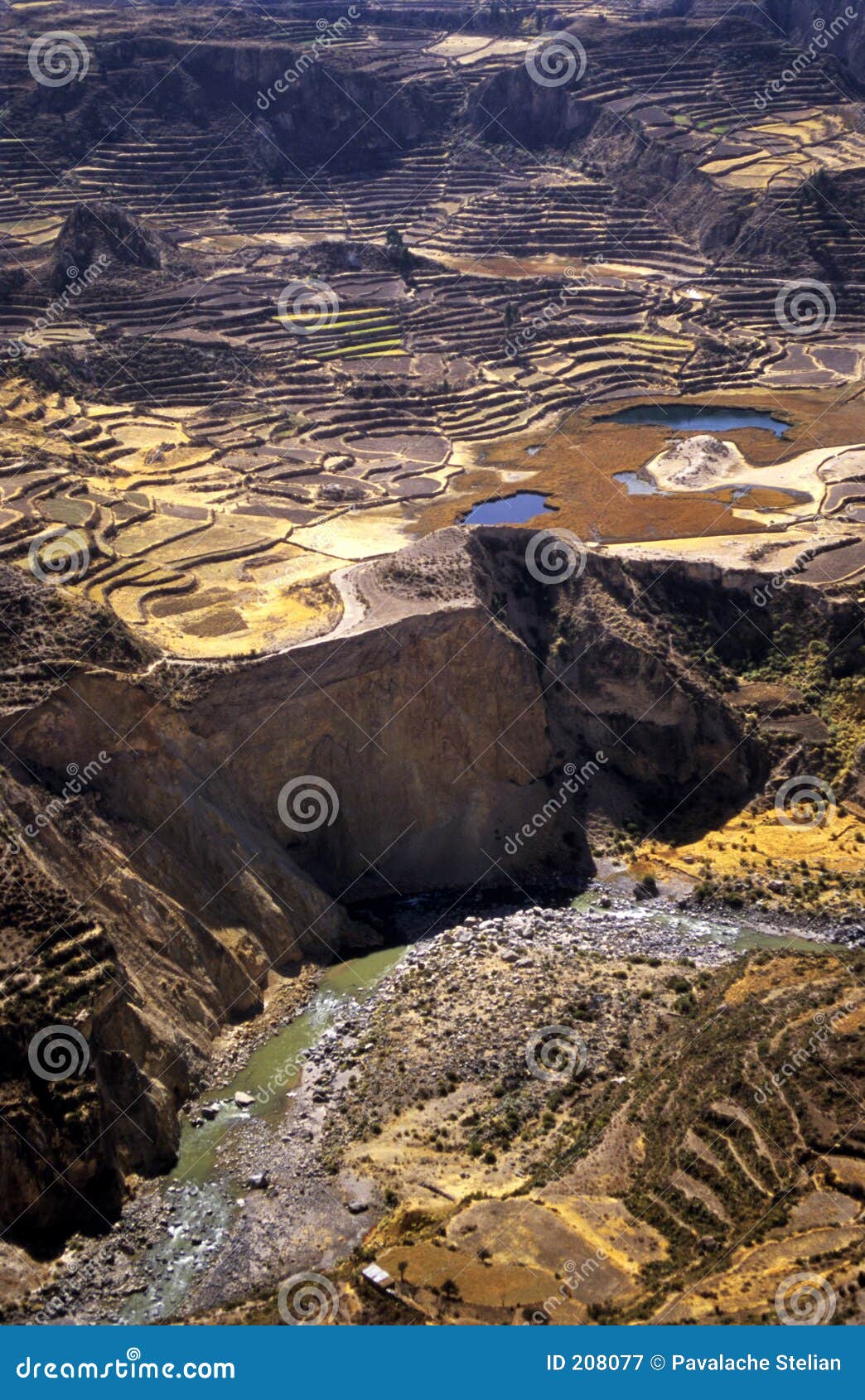 Colca Valey - Inca Terrace - Condors Home #5 Stock Image - Image of ...