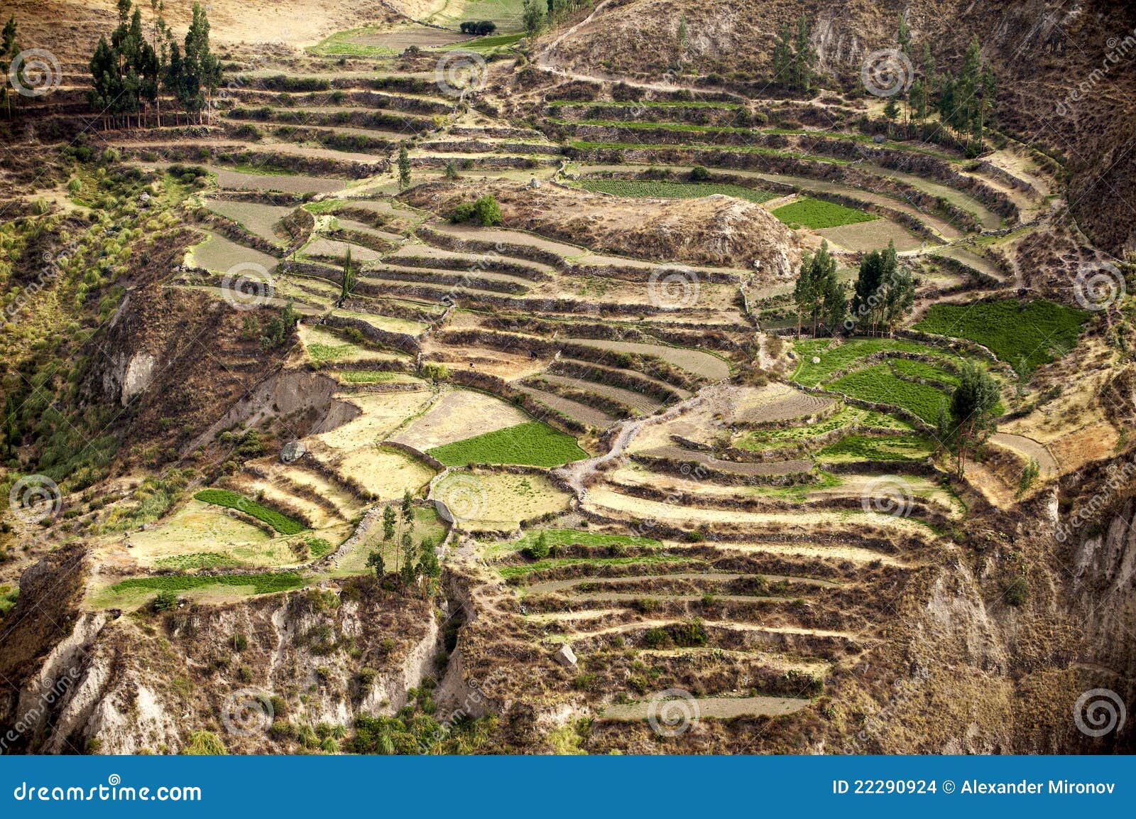 Colca valley stock photo. Image of farming, agriculture - 22290924