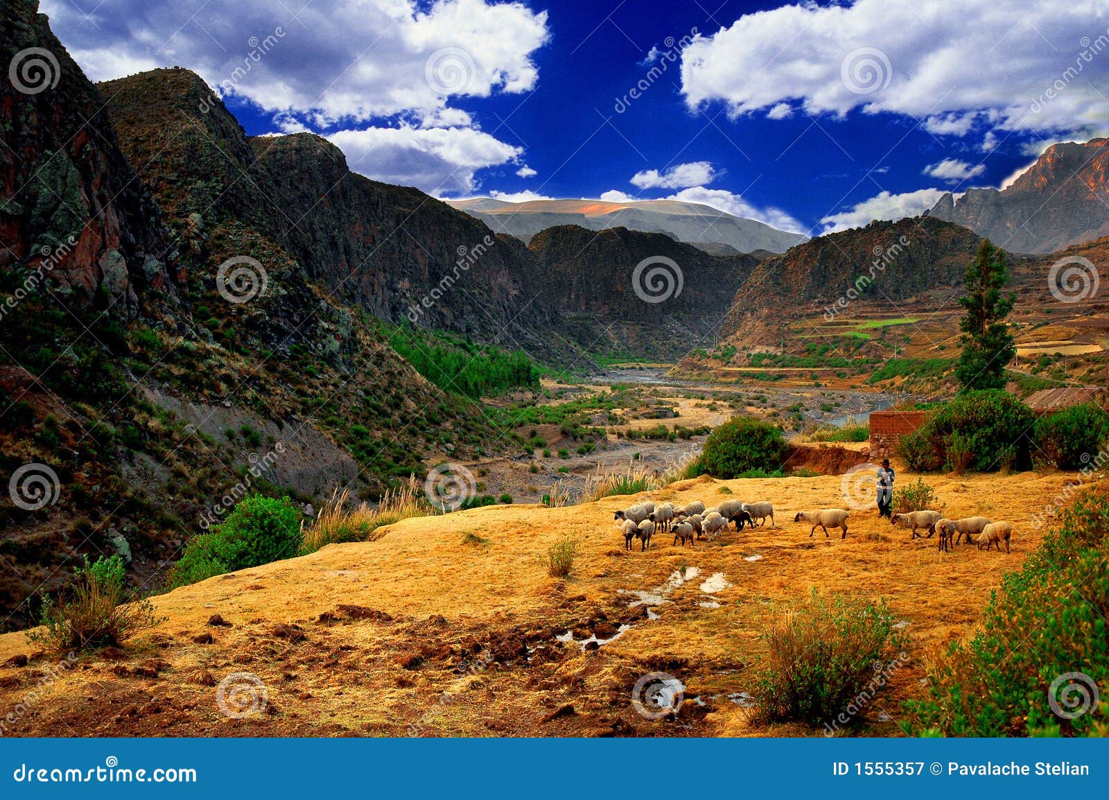 Valley Landscape Norway Flamsbana Train Royalty-Free Stock Photo ...