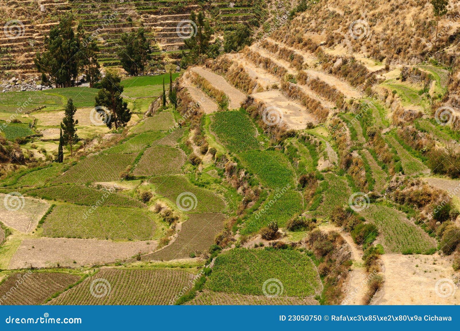 Colca Valley, Peru stock photo. Image of arequipa, range - 23050750