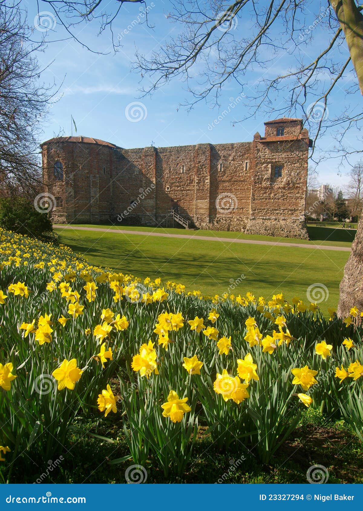 Colchester Castle in Spring Stock Photo - Image of kingdom, bridge ...