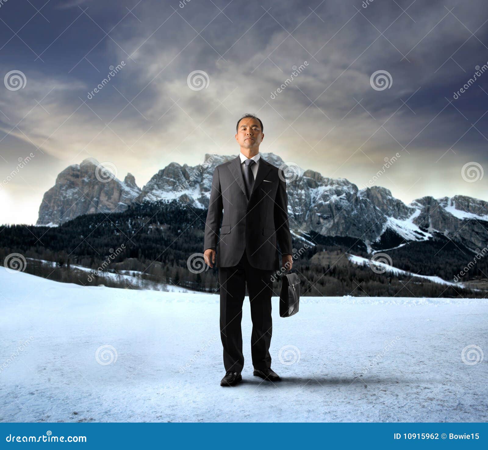 Cold stock photo. Image of money, ecology, career, leader - 10915962