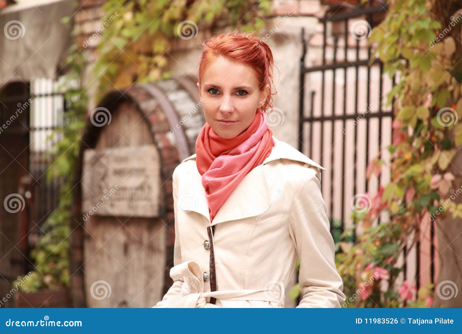 Cold stock photo. Image of nature, glamour, autumn, cheerful - 11983526