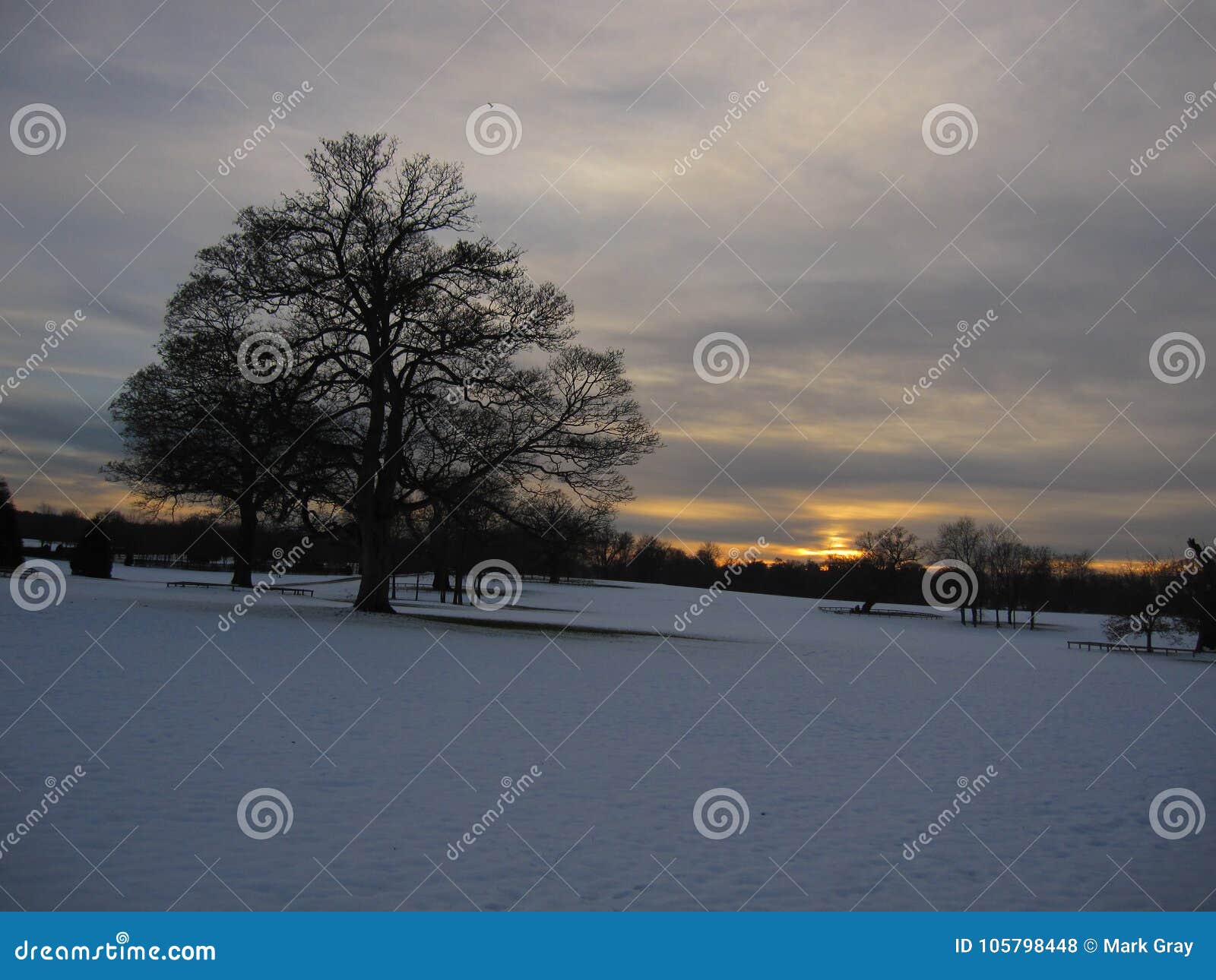 A Cold Afternoon stock photo. Image of snow, cold, sunset - 105798448