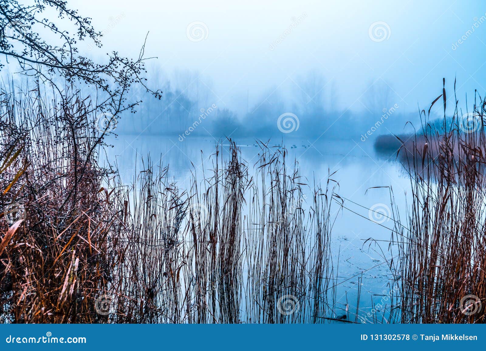 Cold Autumn Morning by Lake Stock Photo - Image of seasonal, dawning ...
