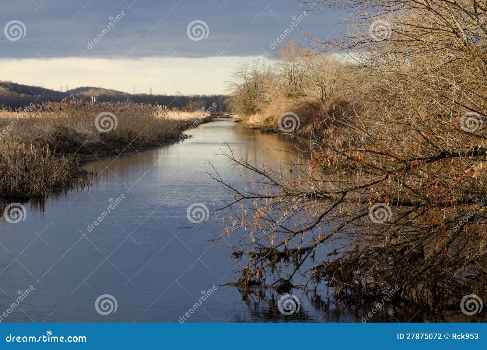 Cold Autumn Morning in the Marsh Stock Photo - Image of river, stream ...