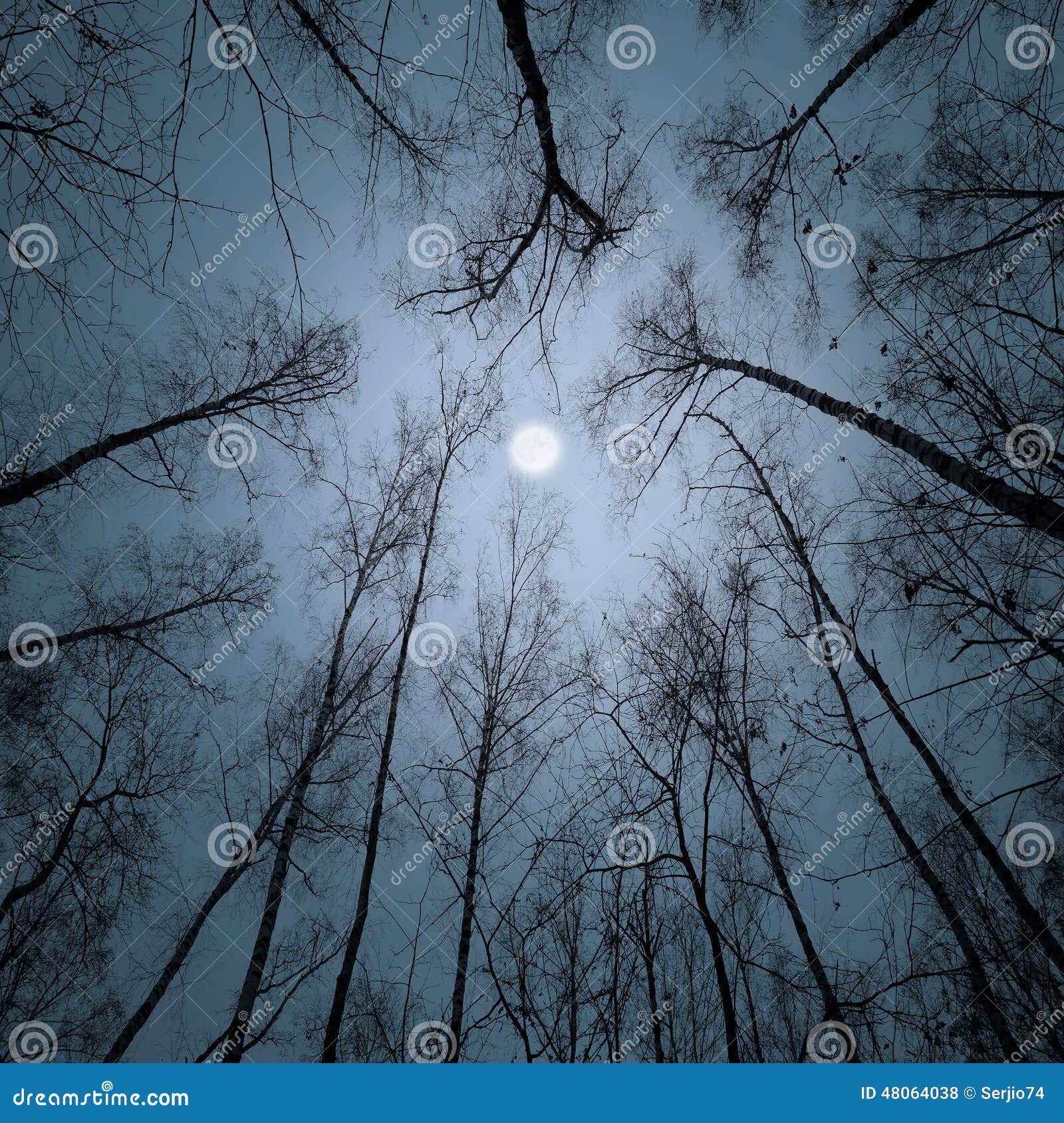 Cold autumn night. stock photo. Image of environment - 48064038