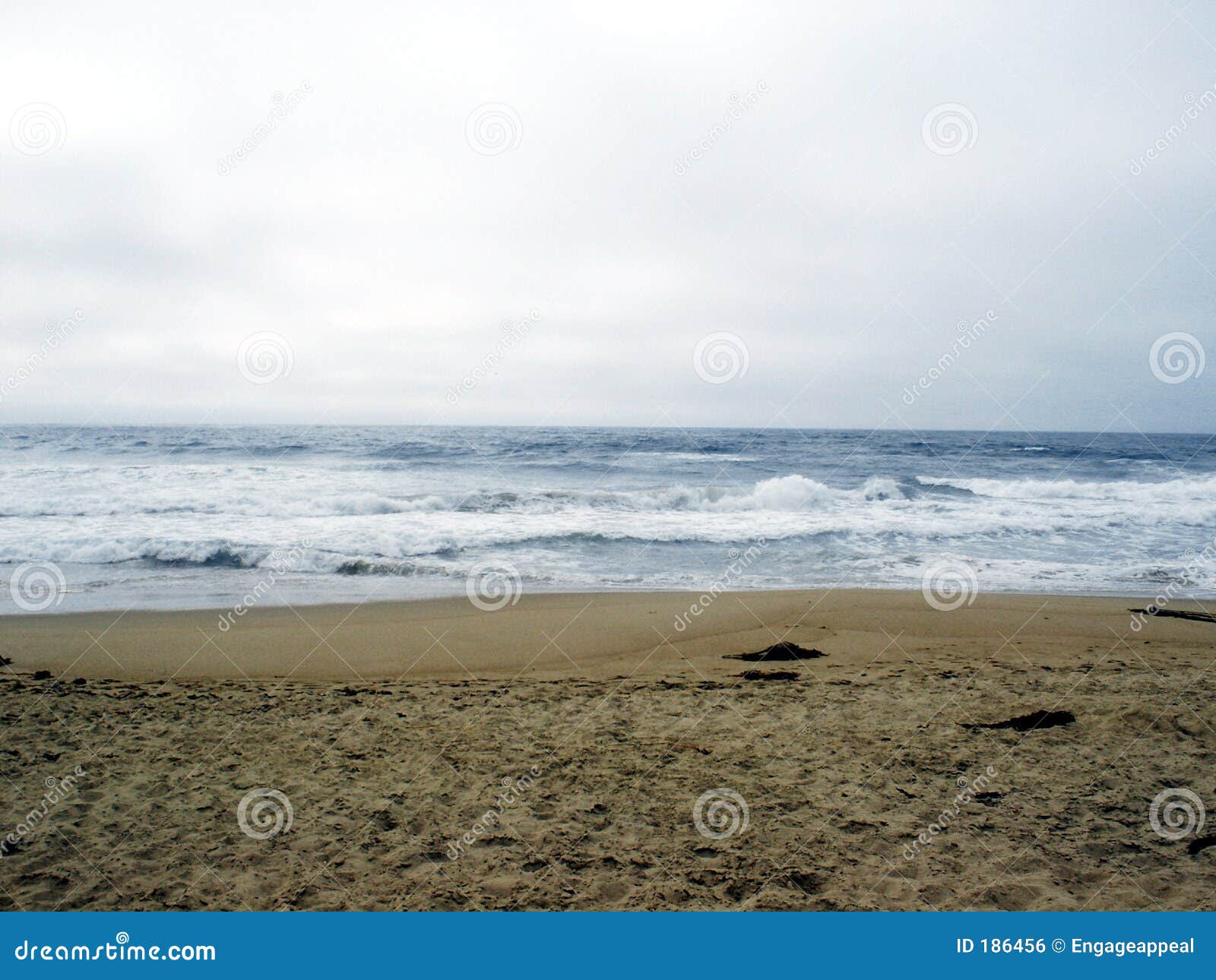 Cold Beach Picture. Image: 186456