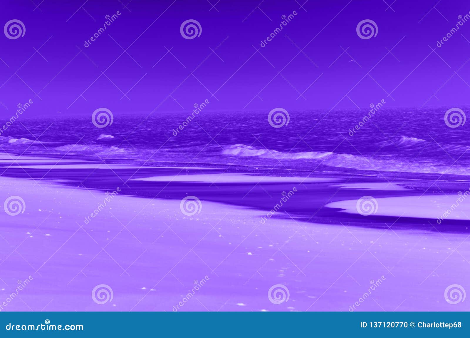 Cold beach stock photo. Image of waves, tideline, cold - 137120770