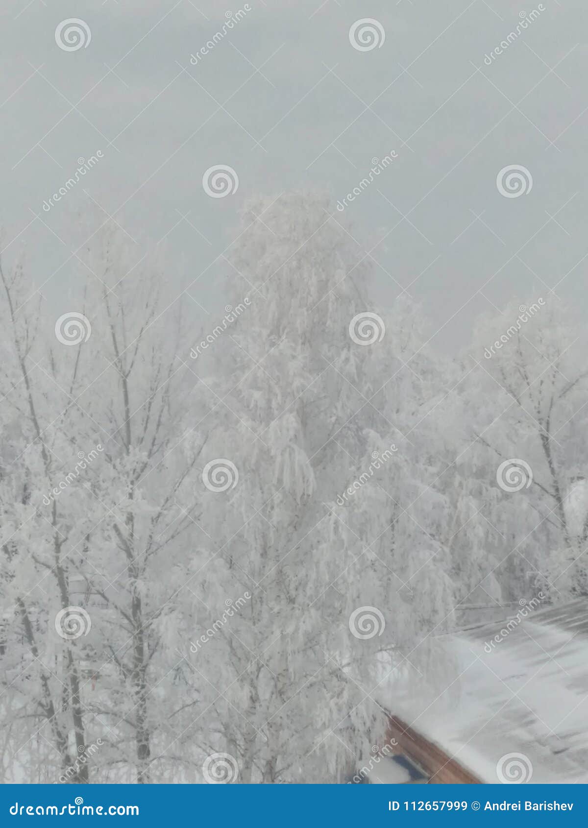 Early morning winter stock image. Image of beautiful - 112657999