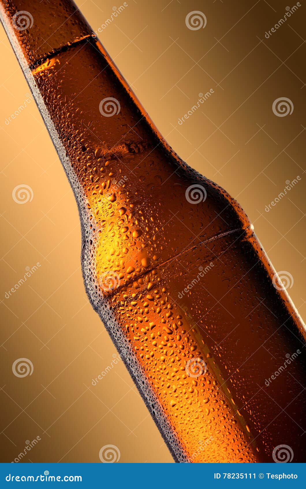 Cold Beer Bottle. Fresh Beer Bottle Concept Stock Image - Image of full ...