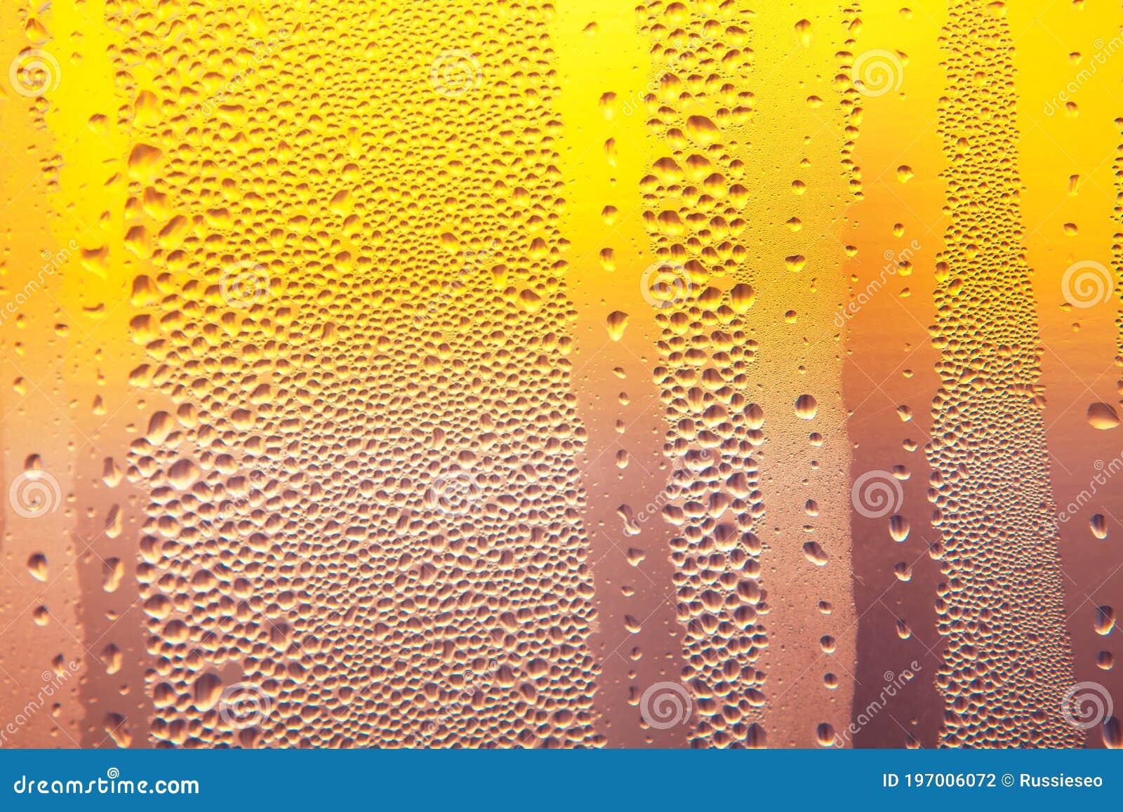 Cold beer condensation stock photo. Image of condensate - 197006072