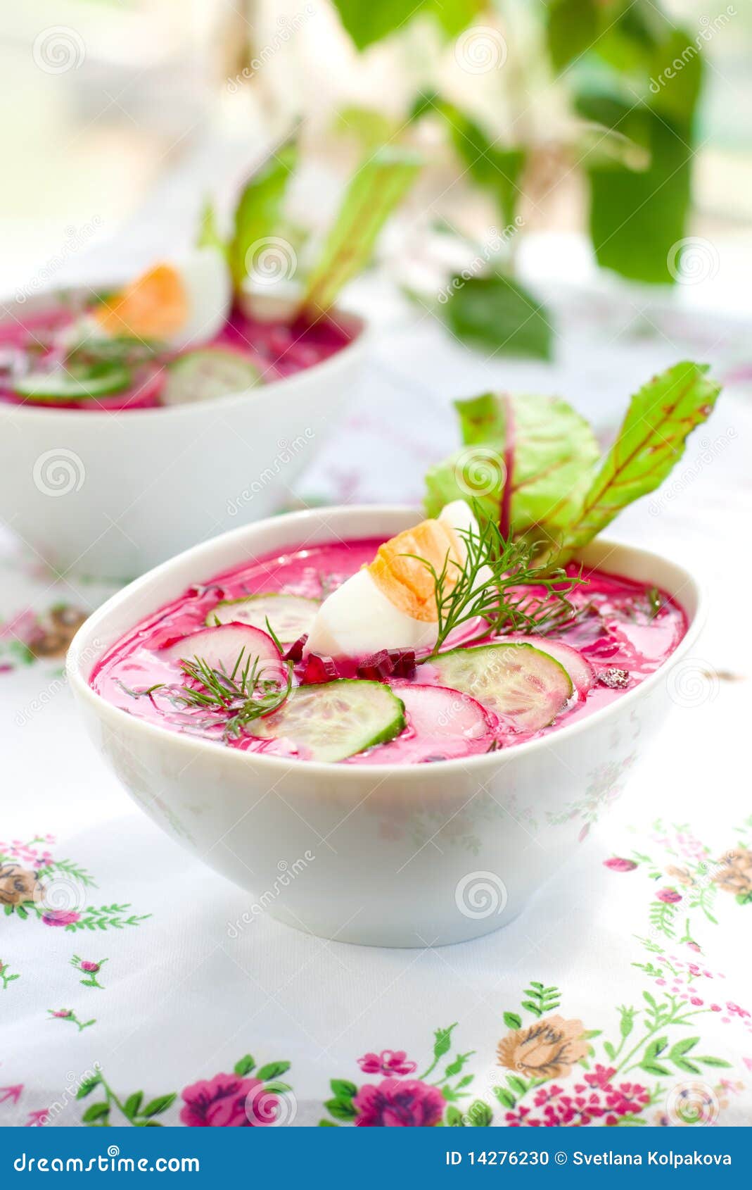 Cold beet soup stock photo. Image of fresh, selective - 14276230