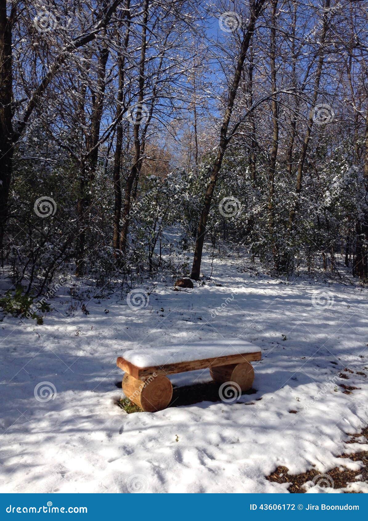 Cold bench stock photo. Image of snow, cold, forest, bench - 43606172